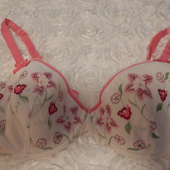 Enchanted | Intimates & Sleepwear | Enchanted Floral Embroidered Bra ...